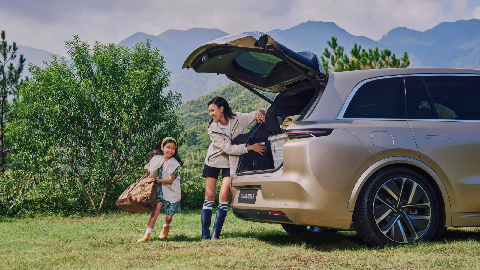 Li L8 în Chișinău